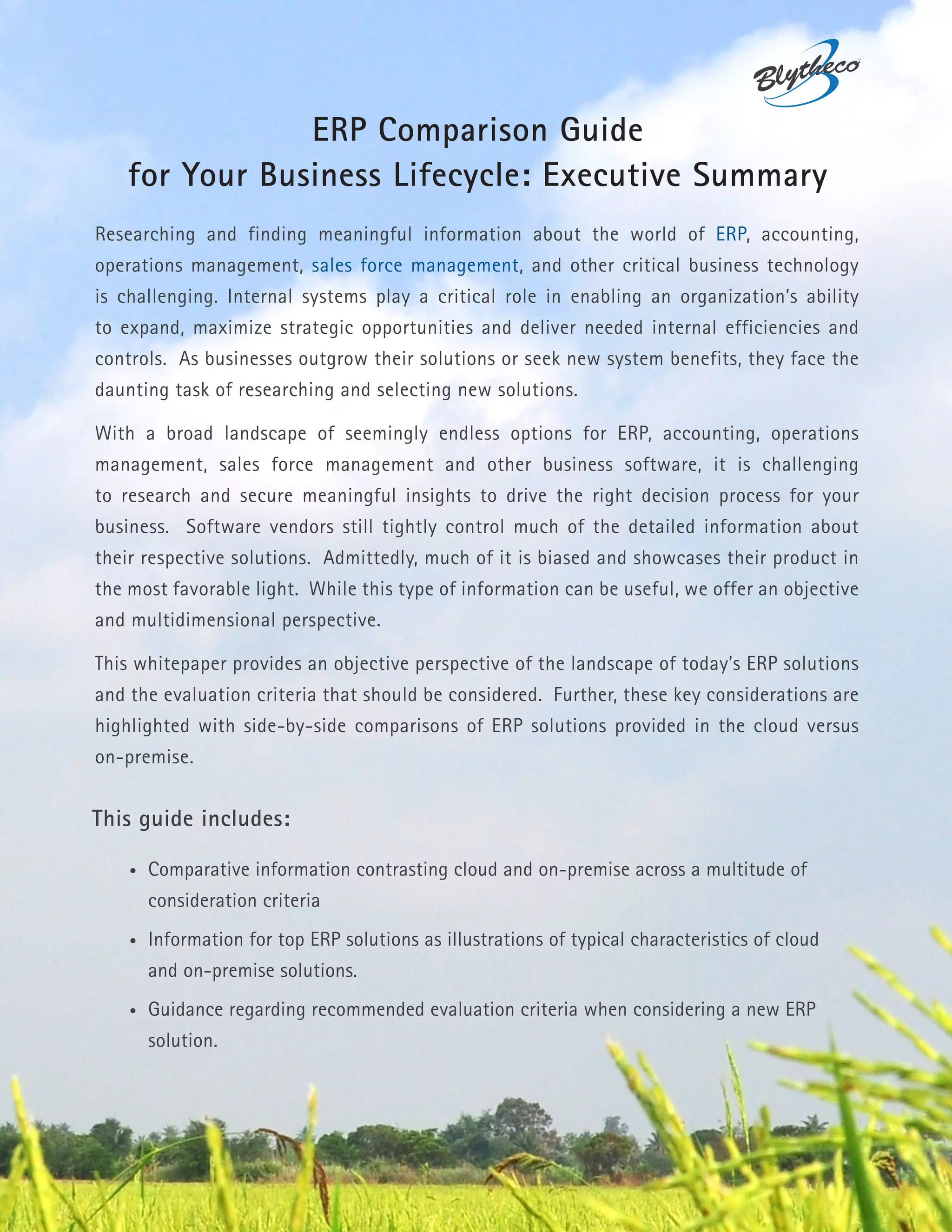 ERP Comparison Guide: Executive Summary | PDF