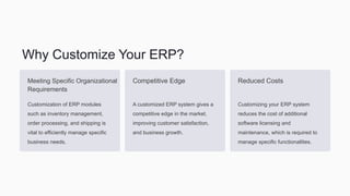 ERP Configuration and Customization | PDF