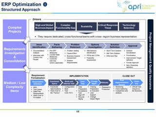 Erp governance methodology and case studies v rjt | PDF