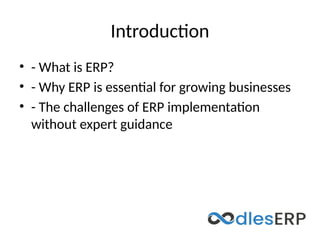 ERP_Implementation_Consultant_PPT (1).pptx