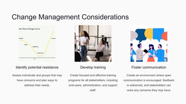 ERP Implementation Strategies | PDF | IT and Internet Support | Internet