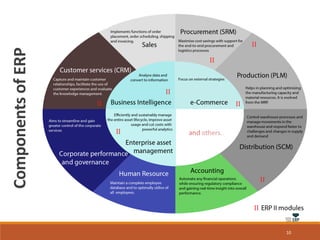 Erp introduction | PDF