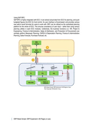 ERP Made Simple (preview) | PDF