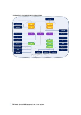 ERP Made Simple (preview) | PDF