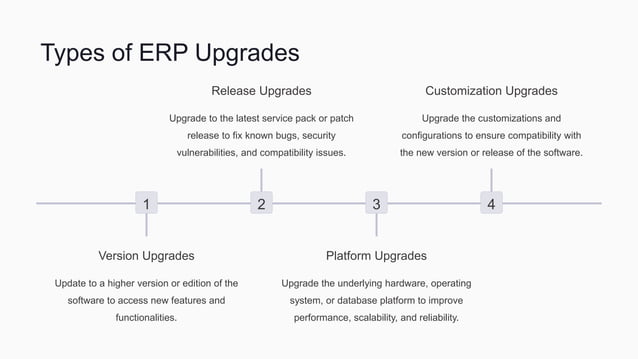 ERP Maintenance and Upgrades | PDF | IT and Internet Support | Internet