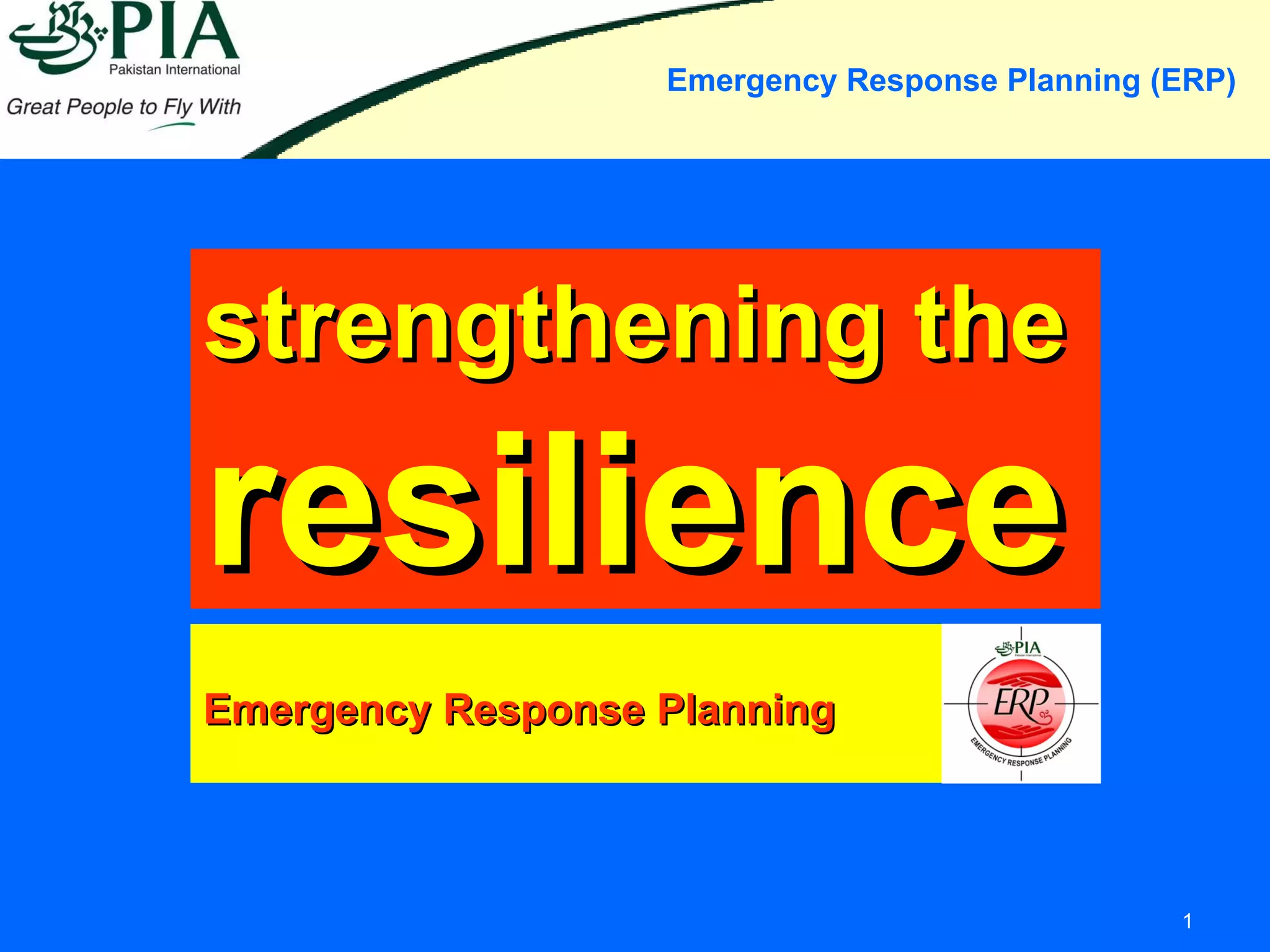 PIA ERP June 2010 | PPT