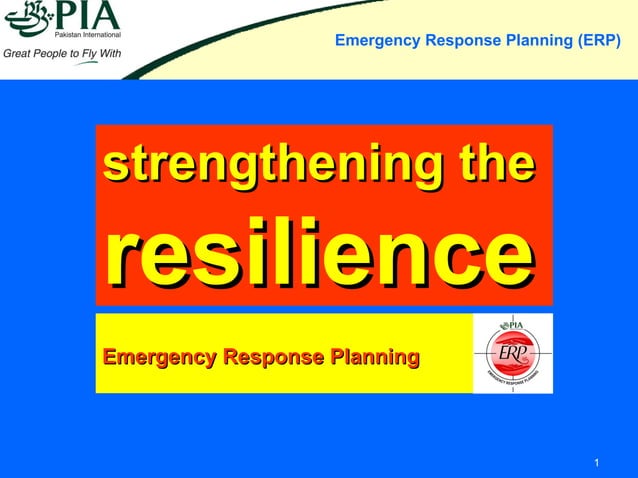 PIA ERP June 2010 | PPT