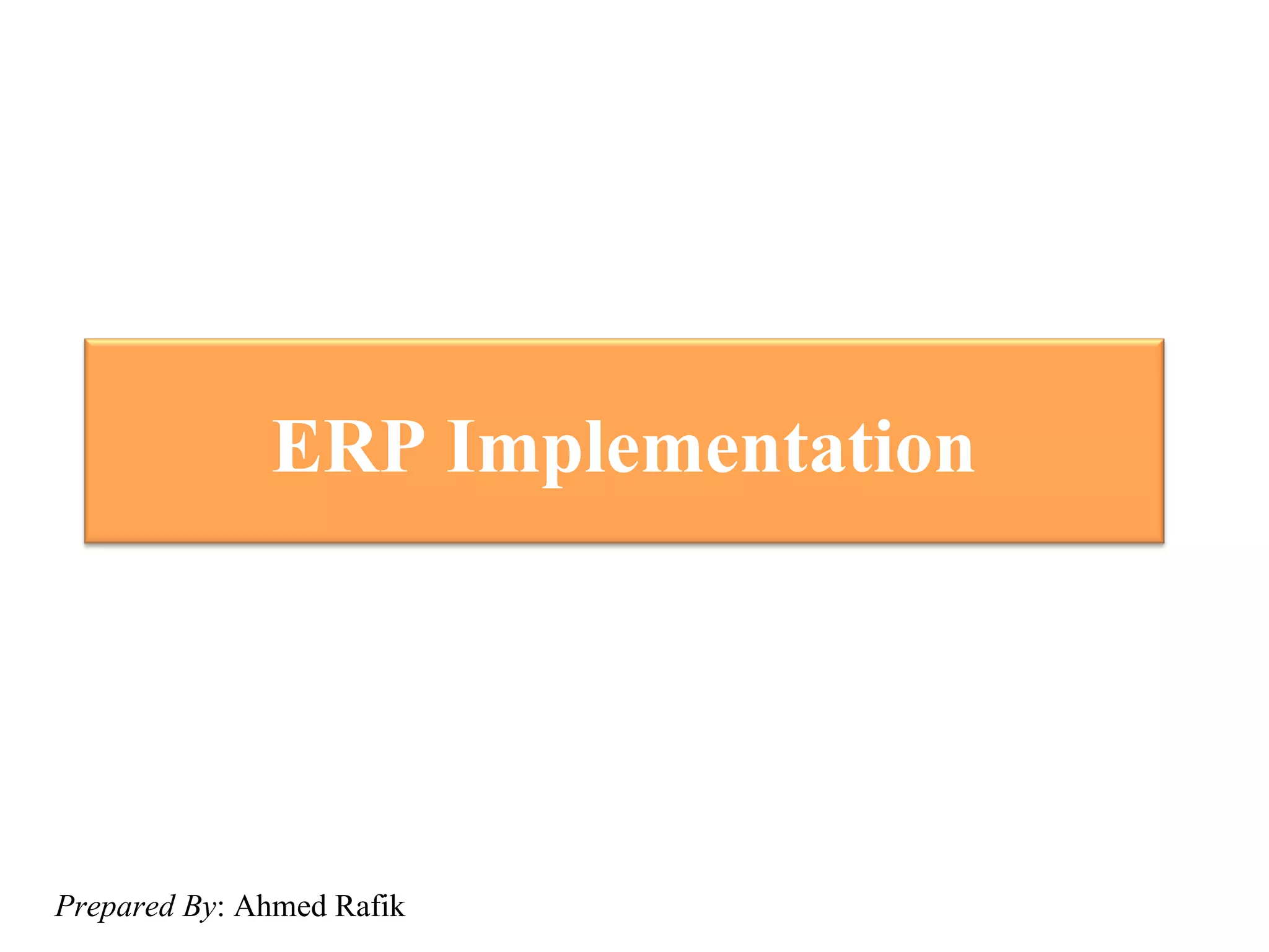 ERP Implementation | PPS