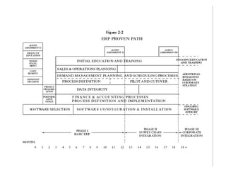 ERP Implementation | PPS