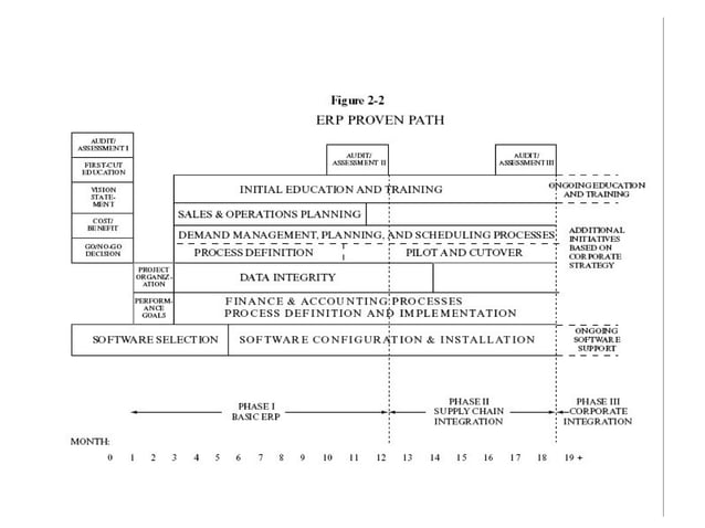 ERP Implementation | PPS