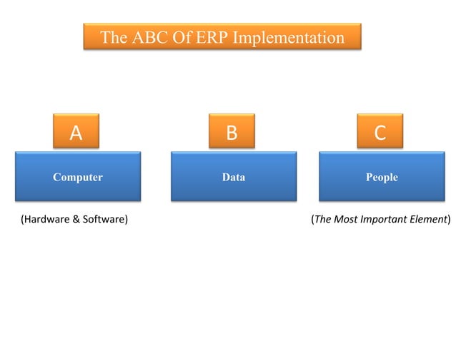 ERP Implementation | PPS