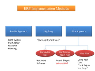 ERP Implementation | PPS