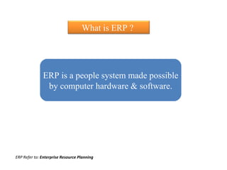 ERP Implementation | PPS