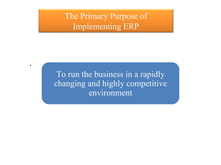 ERP Implementation | PPS