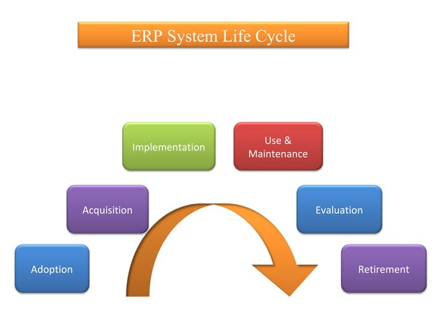ERP Implementation | PPS