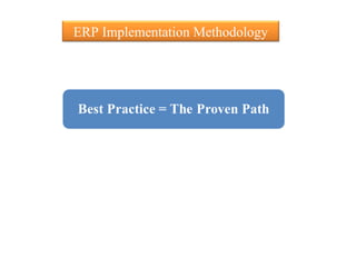 ERP Implementation | PPS
