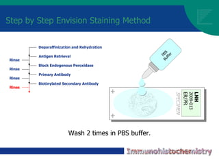 Er Pr | PPT