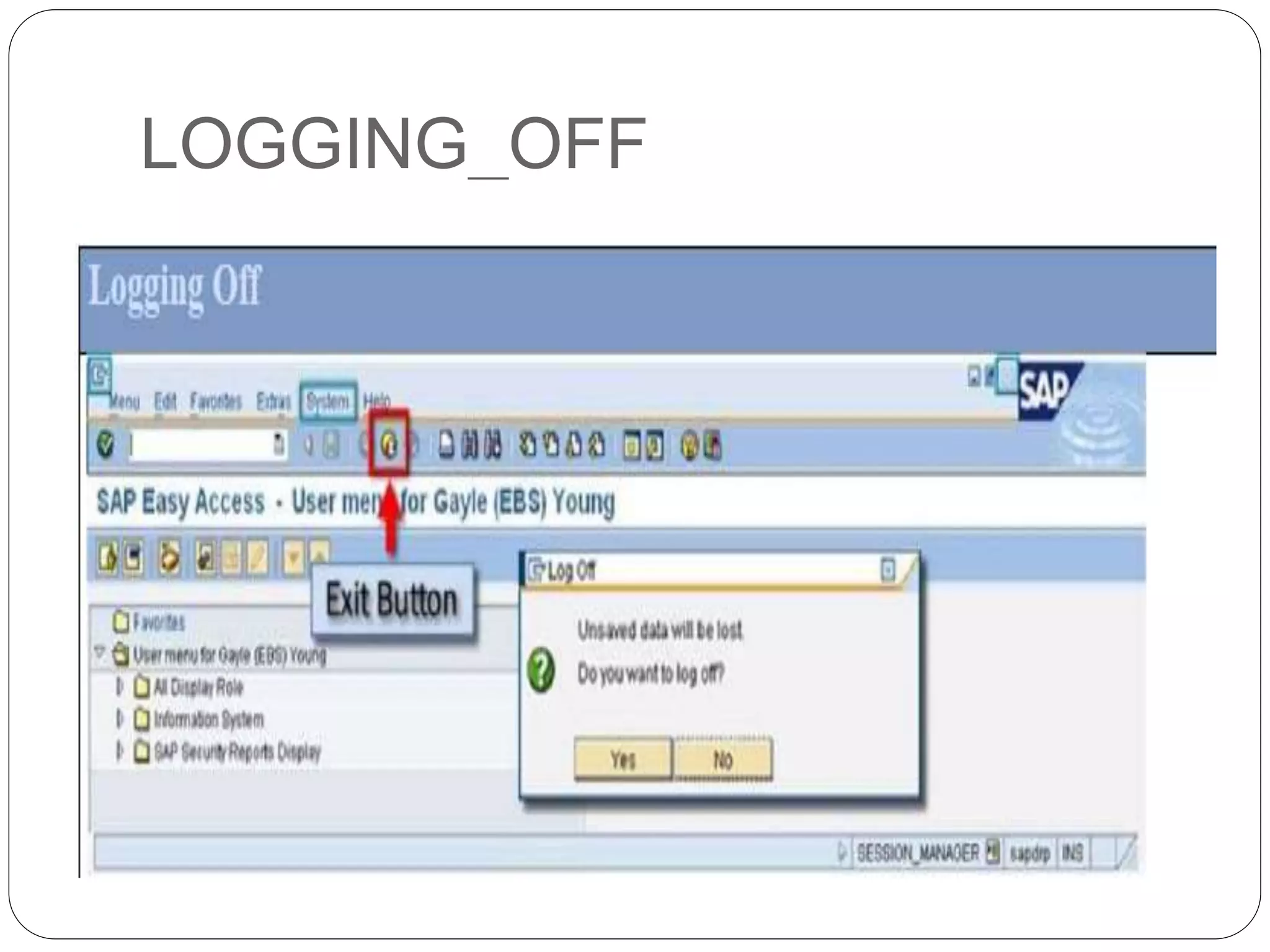 SAP Introduction | PPTX