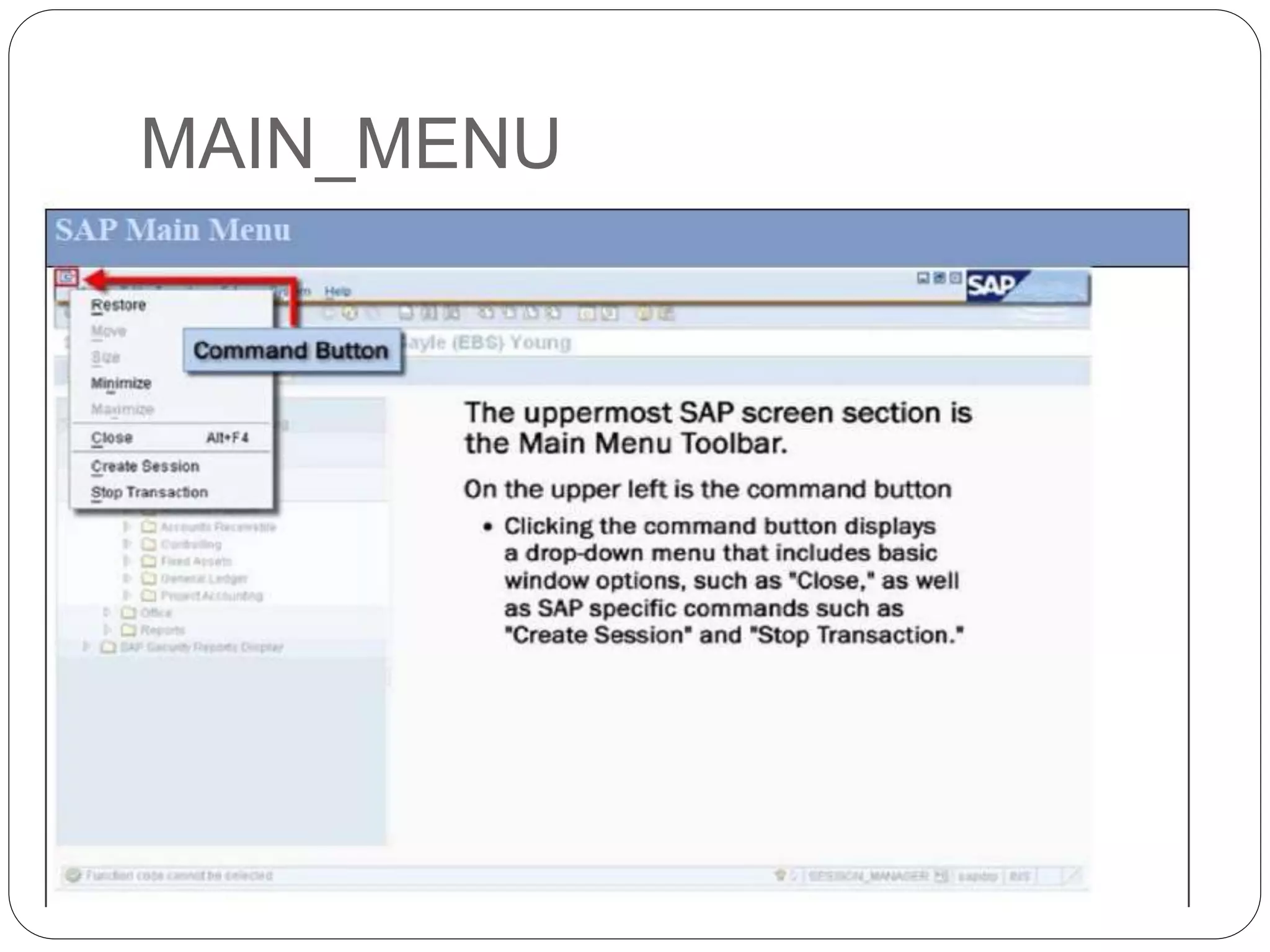 SAP Introduction | PPTX