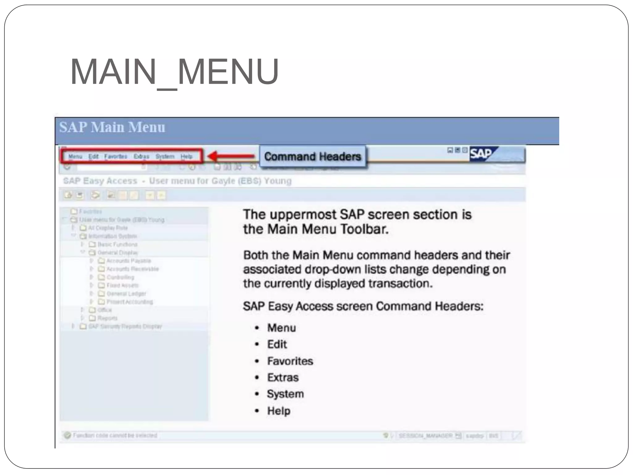 SAP Introduction | PPTX