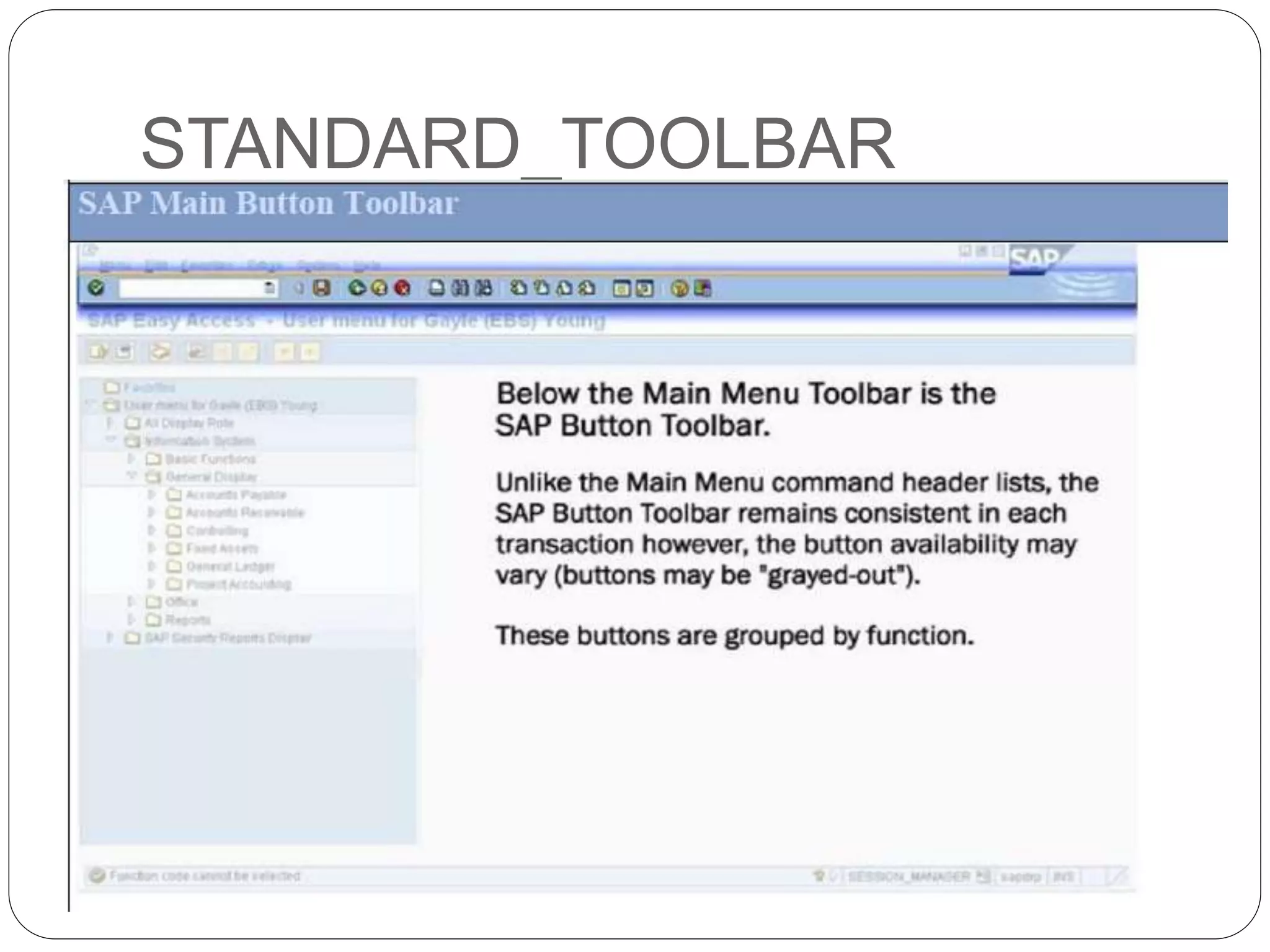 SAP Introduction | PPTX