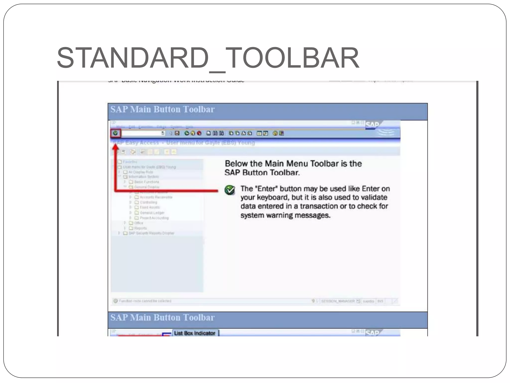 SAP Introduction | PPTX