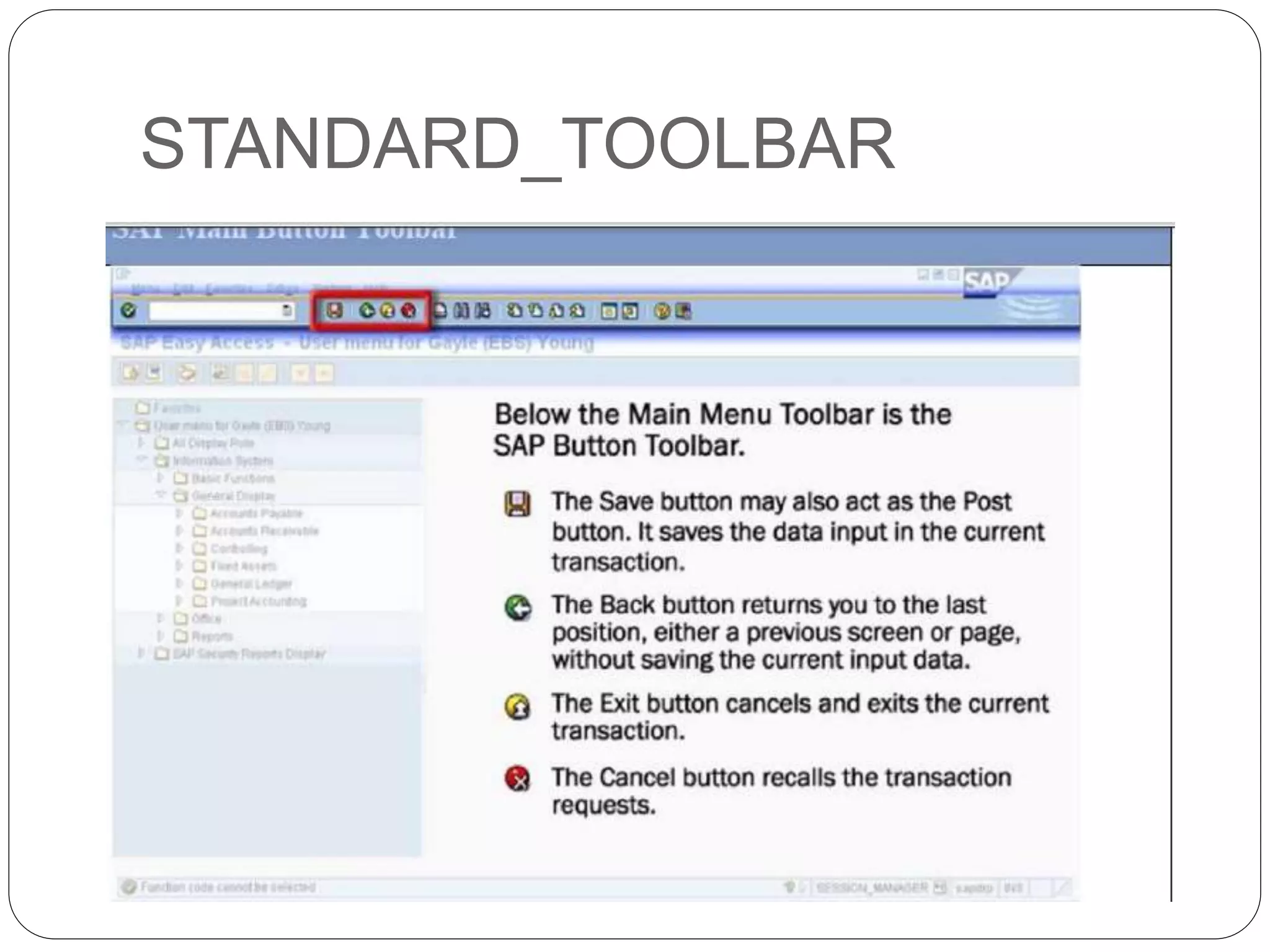 SAP Introduction | PPTX