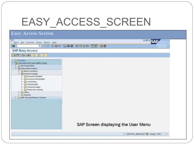 SAP Introduction | PPTX