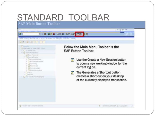 SAP Introduction | PPTX