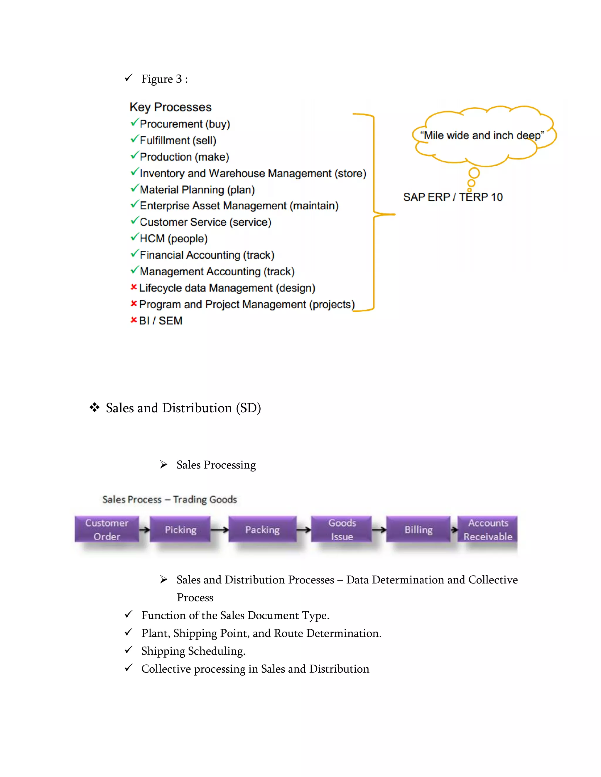 Erp (sap report) | PDF | Computer Software and Applications | Computing