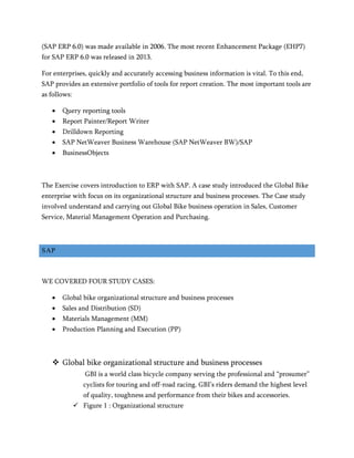 Erp (sap report) | PDF | Computer Software and Applications | Computing