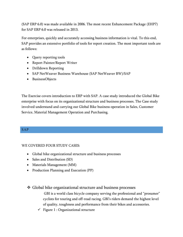 Erp (sap report) | PDF | Computer Software and Applications | Computing