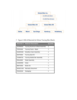 Erp (sap report) | PDF | Computer Software and Applications | Computing