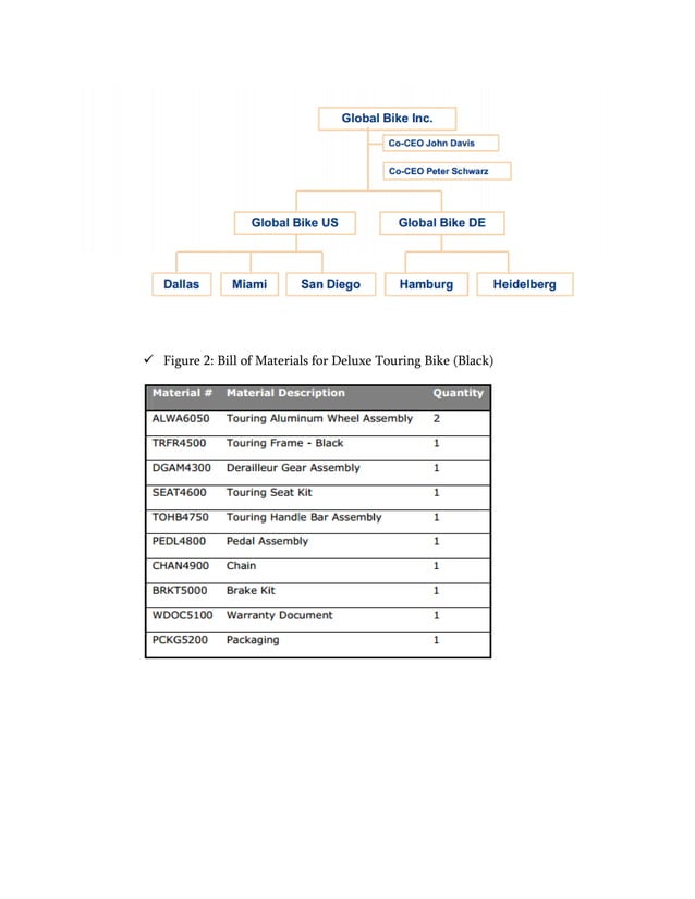 Erp (sap report) | PDF | Computer Software and Applications | Computing