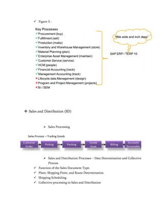 Erp (sap report) | PDF | Computer Software and Applications | Computing