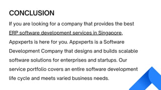 ERP software development.pdf