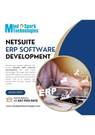 Custom ERP software development company in Orlando, Florida: Mind Spark Technologies | PDF