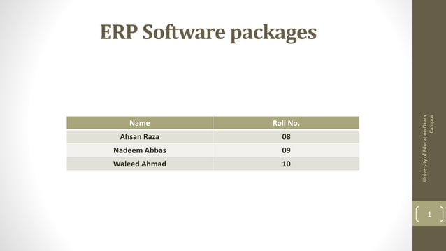 ERP Software Packages | PPT