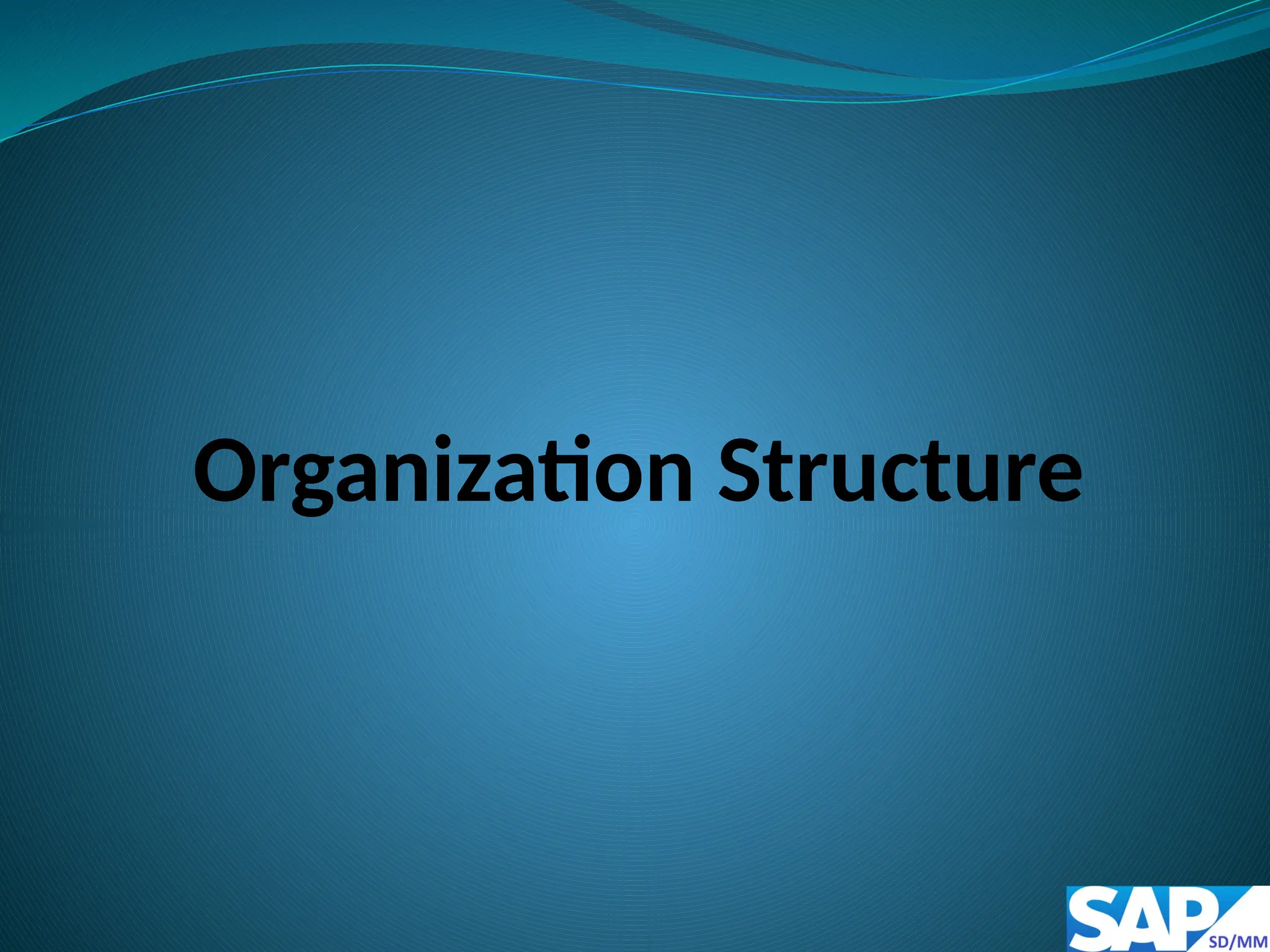Introduction to organisation structure.pptx
