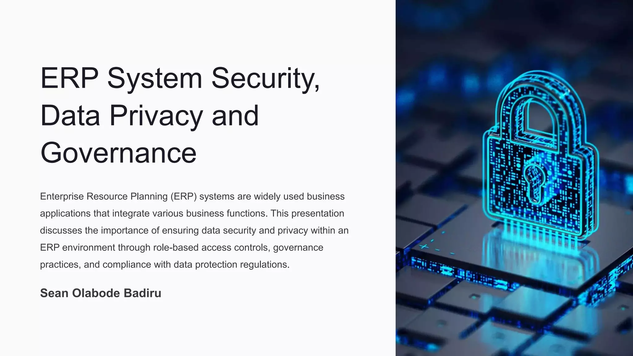 ERP System Security Data Privacy and Governance | PDF