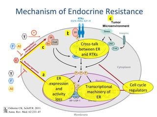 ABC1 - B. Kaufman - Endocrine resistance mechanisms and solutions | PPT