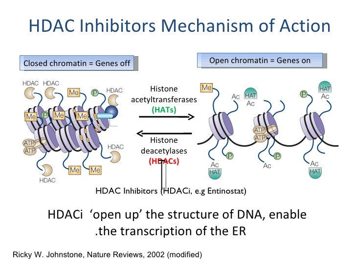 ABC1 - B. Kaufman - Endocrine resistance mechanisms and solutions