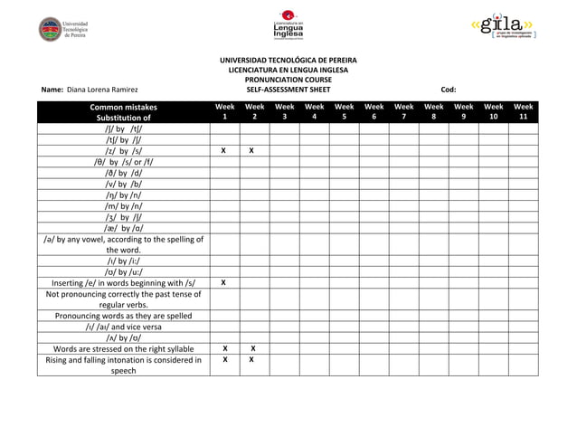 Error analysis rubric | PDF | Educational Assessment | Education