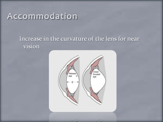 Error of refraction | PPTX