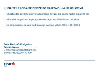 Erste - vodic za devizni kurs | PDF