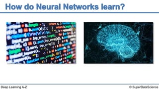 Deep Learning A-Z™: Artificial Neural Networks (ANN) - How do Neural ...