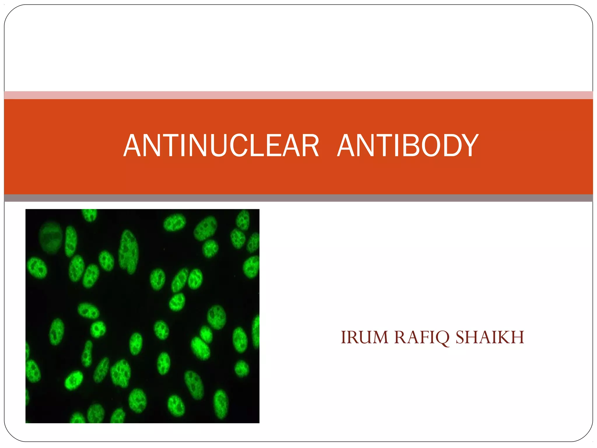 ANTINUCLEAR ANTIBODY | PPT