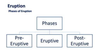 Eruption | PPTX