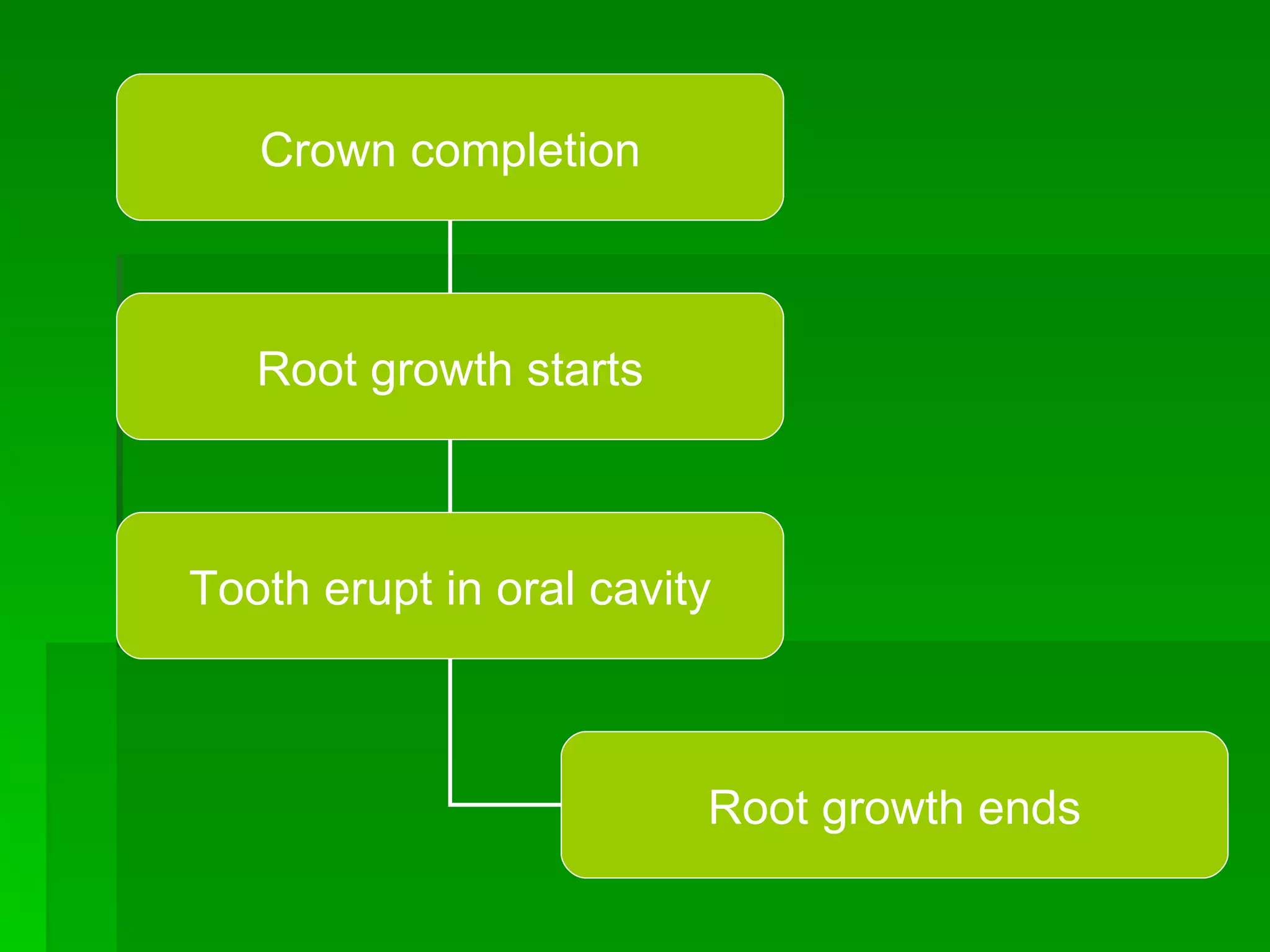Eruption Theory..root elongation theory | PPT