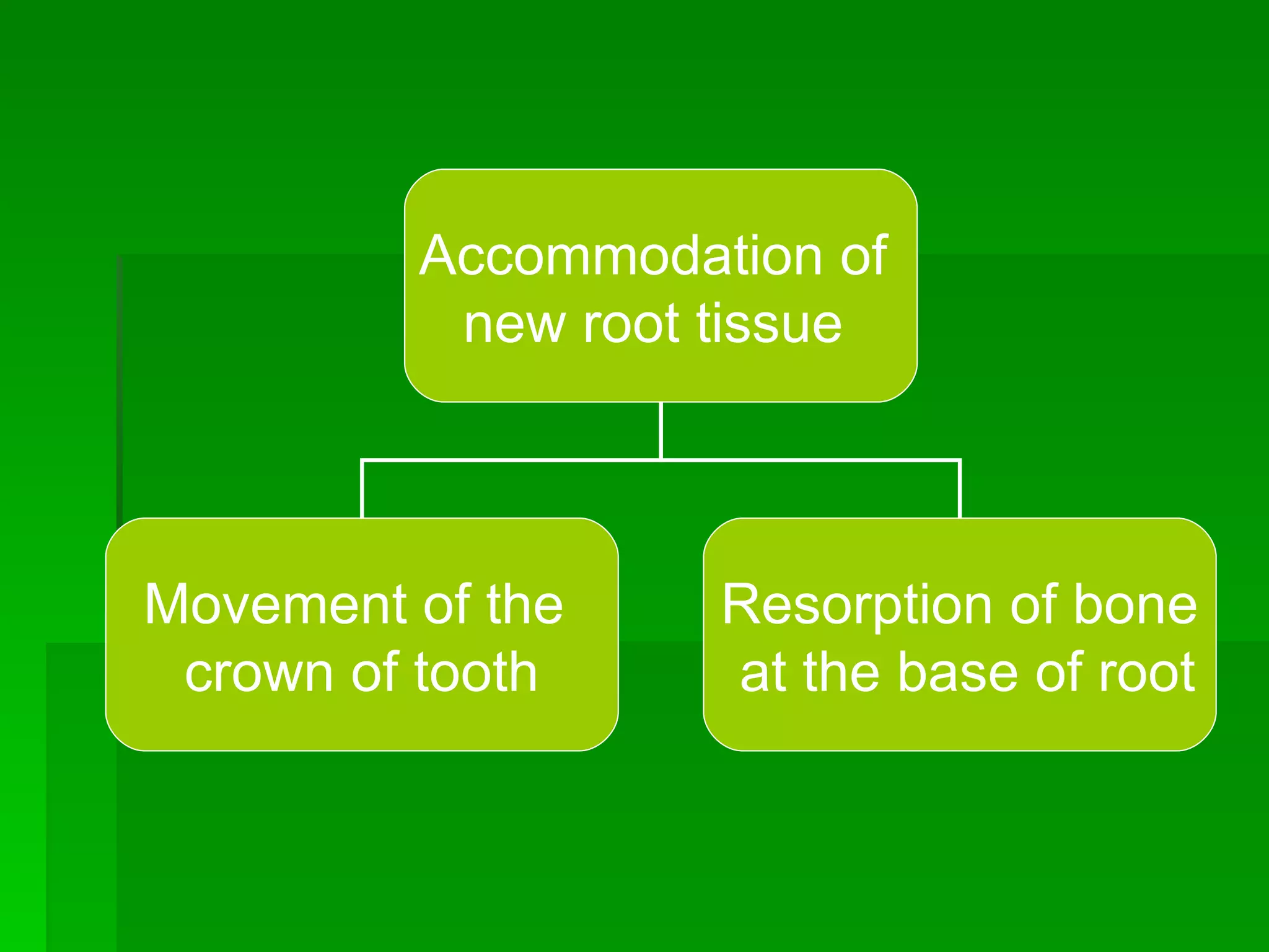 Eruption Theory..root elongation theory | PPT